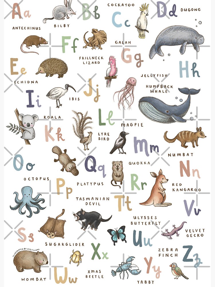 "Australian Animals Alphabet" Art Board Print for Sale by thosepencils ...