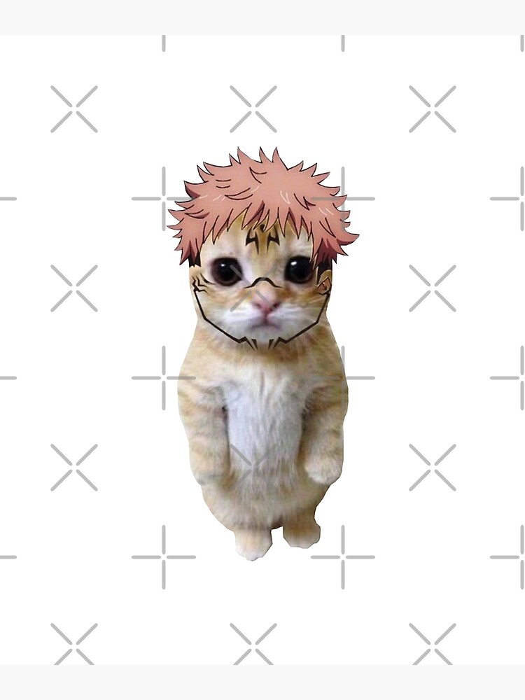 "Yuji Cat Meme" Poster for Sale by pymbor | Redbubble