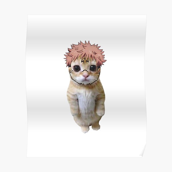"Yuji Cat Meme" Poster for Sale by pymbor | Redbubble