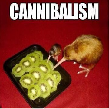 "a Kiwi bird eating kiwi fruit "cannibalism"" Sticker for Sale by ...