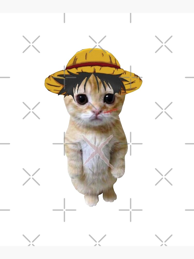 "Luffy Cat Meme" Poster for Sale by pymbor | Redbubble