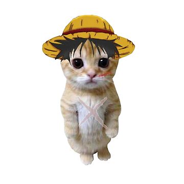 "Luffy Cat Meme" Sticker for Sale by Anime Sekai | Redbubble