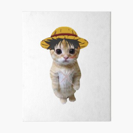 "Luffy Cat Meme" Art Board Print for Sale by pymbor | Redbubble