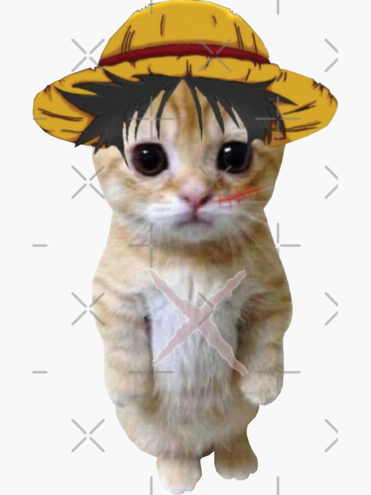 "Luffy Cat Meme" Sticker for Sale by Anime Sekai | Redbubble