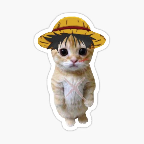 "Luffy Cat Meme" Sticker for Sale by Anime Sekai | Redbubble
