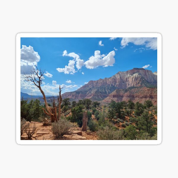 "Zion Mountain View" Sticker for Sale by Animal-Photos | Redbubble