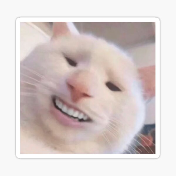 "Car laughing meme" Sticker for Sale by Pjbaratix | Redbubble