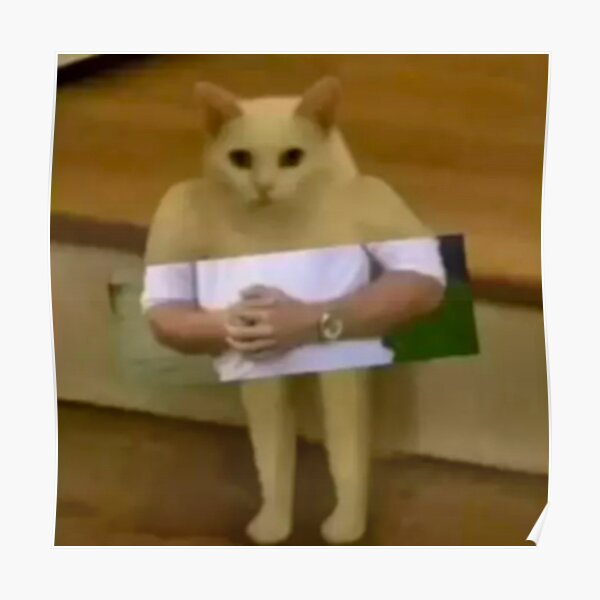 "serious cat meme" Poster for Sale by Pjbaratix | Redbubble