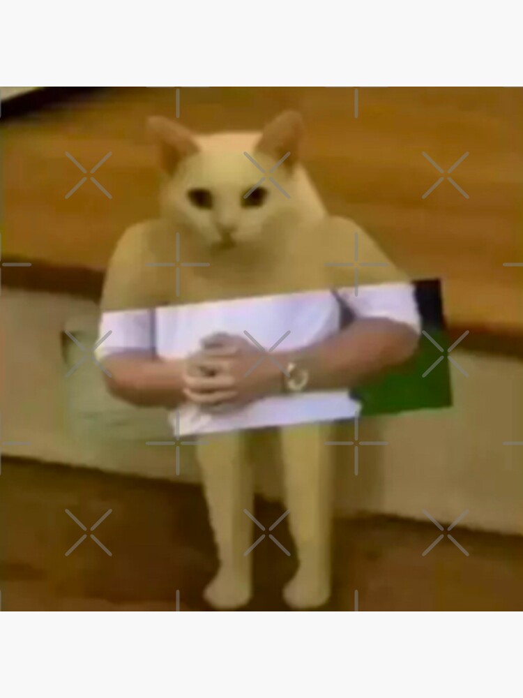 "serious cat meme" Sticker for Sale by Pjbaratix | Redbubble