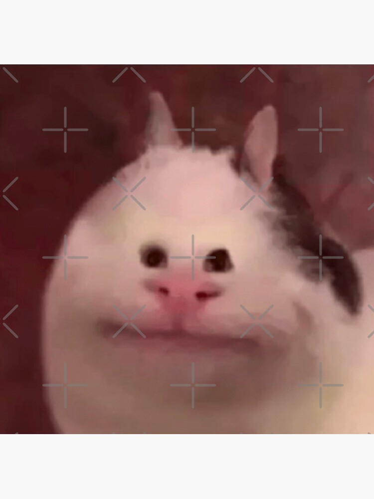 "Alien cat meme" Poster for Sale by The Lone vendor | Redbubble