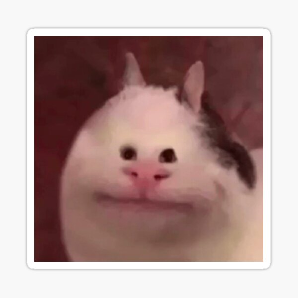 "Alien cat meme" Sticker for Sale by Pjbaratix | Redbubble