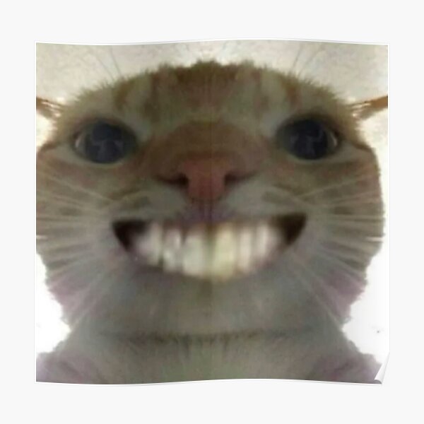 "smiley cat meme" Poster for Sale by Pjbaratix | Redbubble