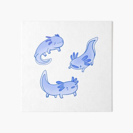 "Cute blue axolotls drawing" Art Board Print for Sale by Mayarart ...