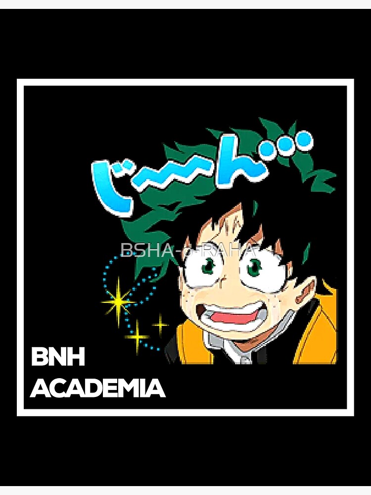 "My Hero Academia Anime : Show Your Love for Your Favorite Characters ...