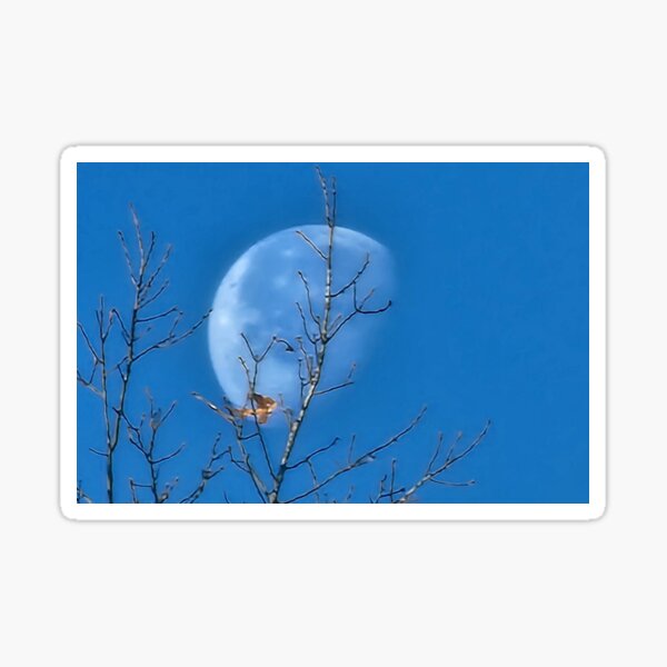 "Playing with the Blue Moon" Sticker for Sale by SXW-Designs | Redbubble