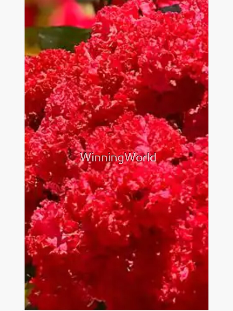 "Ever Red Gorges Flowers" Sticker for Sale by WinningWorld | Redbubble