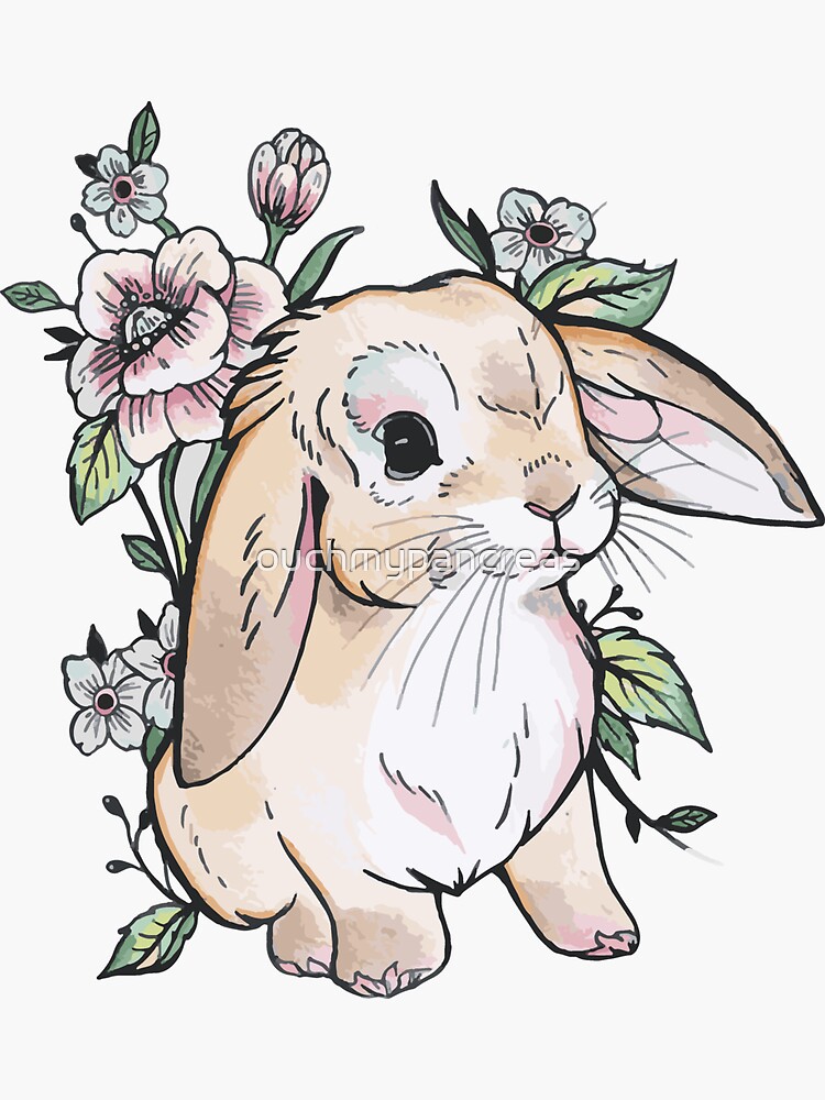 "Holland lop bunny" Sticker for Sale by ouchmypancreas | Redbubble