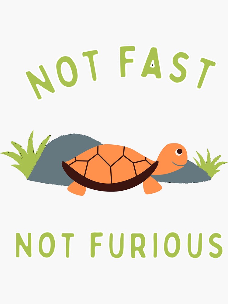 "not fast not furious" Sticker for Sale by Wond-store | Redbubble