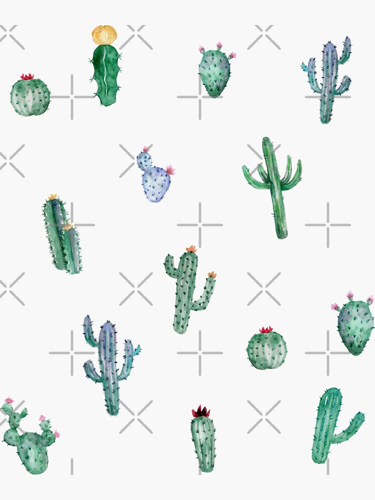 "Cacti Print" Sticker for Sale by 10mama13 | Redbubble