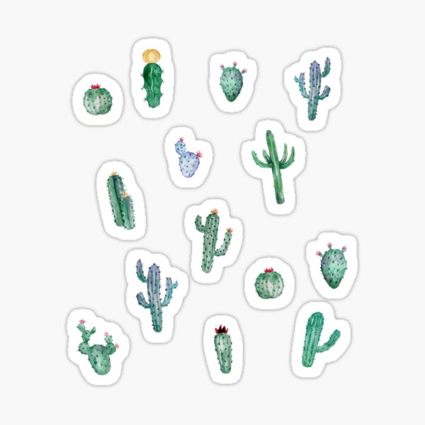 "Cacti Print" Sticker for Sale by 10mama13 | Redbubble