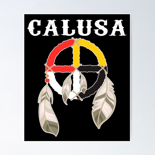 "Calusa Tribe Nation Native Medicine Wheel" Poster for Sale by ...