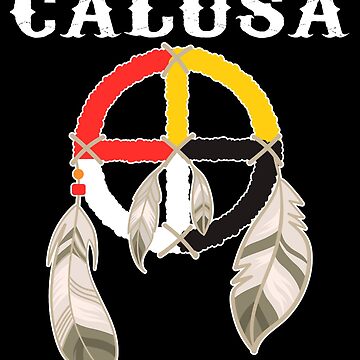 "Calusa Tribe Nation Native Medicine Wheel" Poster for Sale by ...