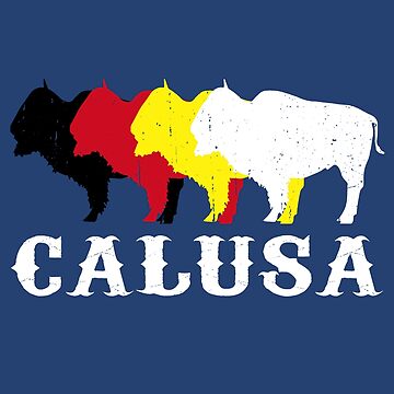 "Calusa Tribe Nation Native Indians" Art Board Print for Sale by ...