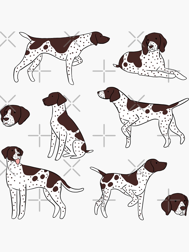 "German Shorthaired Pointer Dog " Sticker for Sale by Yarafantasyart ...