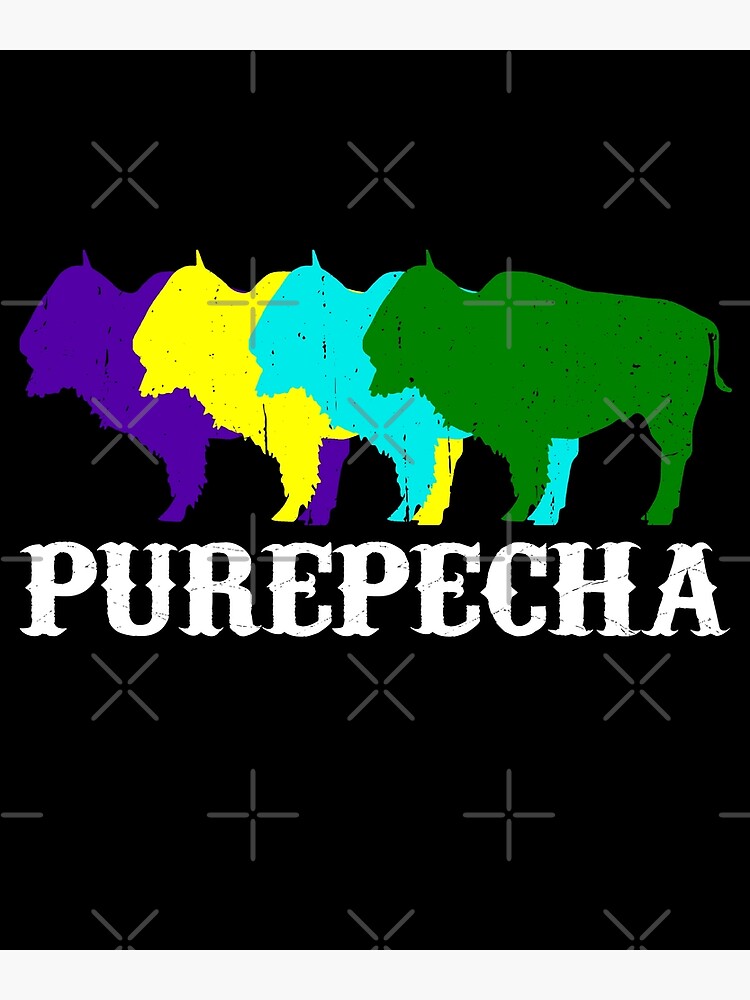 "Purepecha Tribe Nation Native American Indian" Poster for Sale by ...