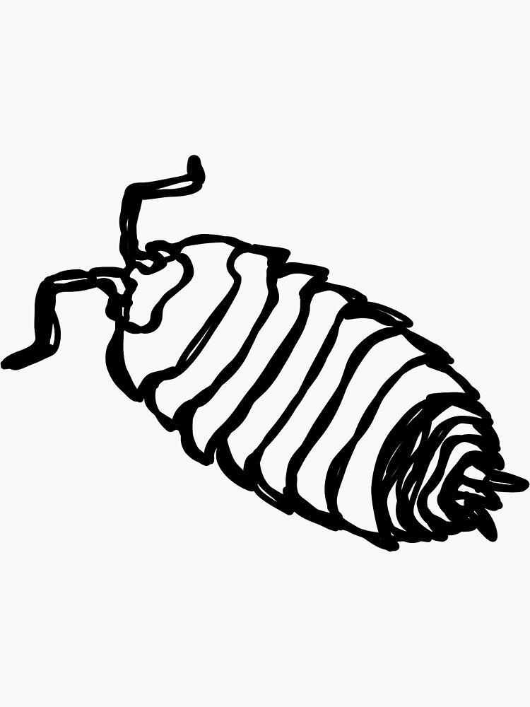 "Roly poly pill bug line art" Sticker for Sale by Carijn- | Redbubble