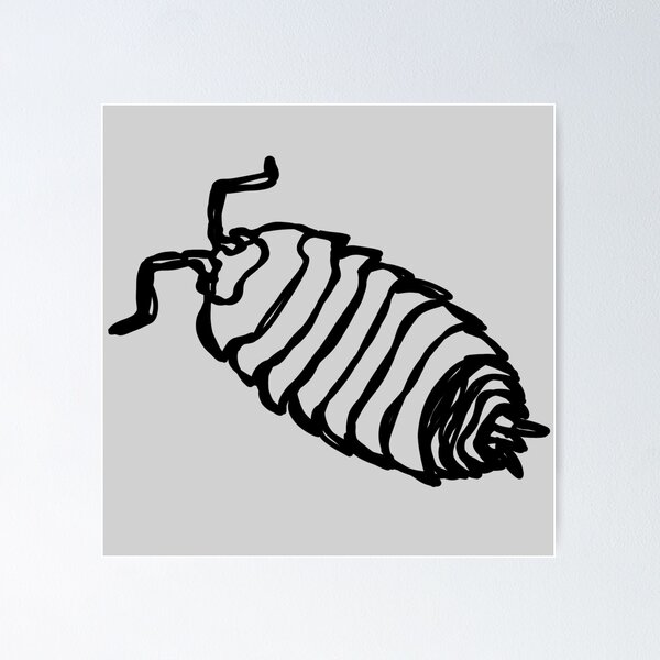 "Roly poly pill bug line art" Poster for Sale by Carijn- | Redbubble