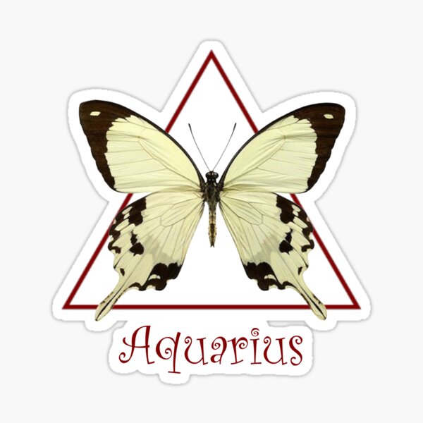 "Aquarius Bug Zodiac " Sticker for Sale by HoneyMfBaybee | Redbubble