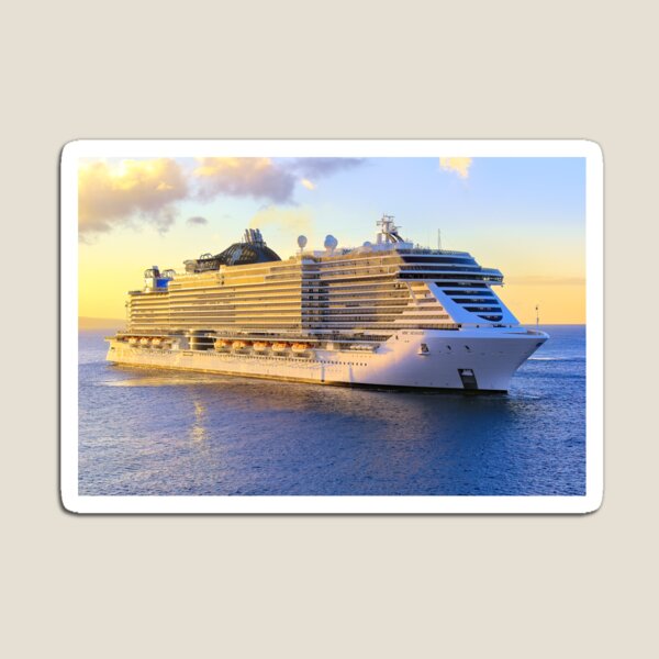 Msc Merch & Gifts for Sale | Redbubble