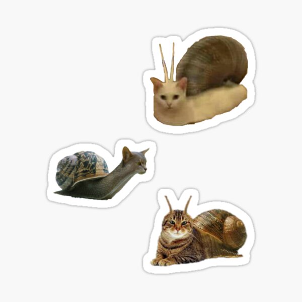 "Snail Cate sticker pack cat meme" Sticker for Sale by redakhatib ...