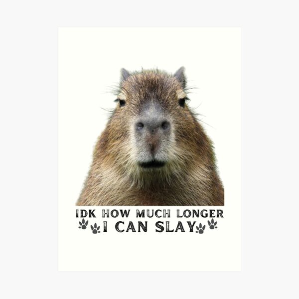 "Idk How Much Longer I Can Slay Funny Capybara Meme" Art Print for Sale ...