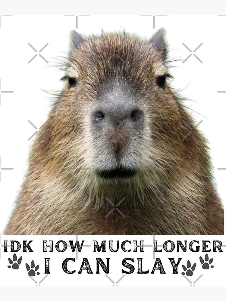 "Idk How Much Longer I Can Slay Funny Capybara Meme" Art Print for Sale ...
