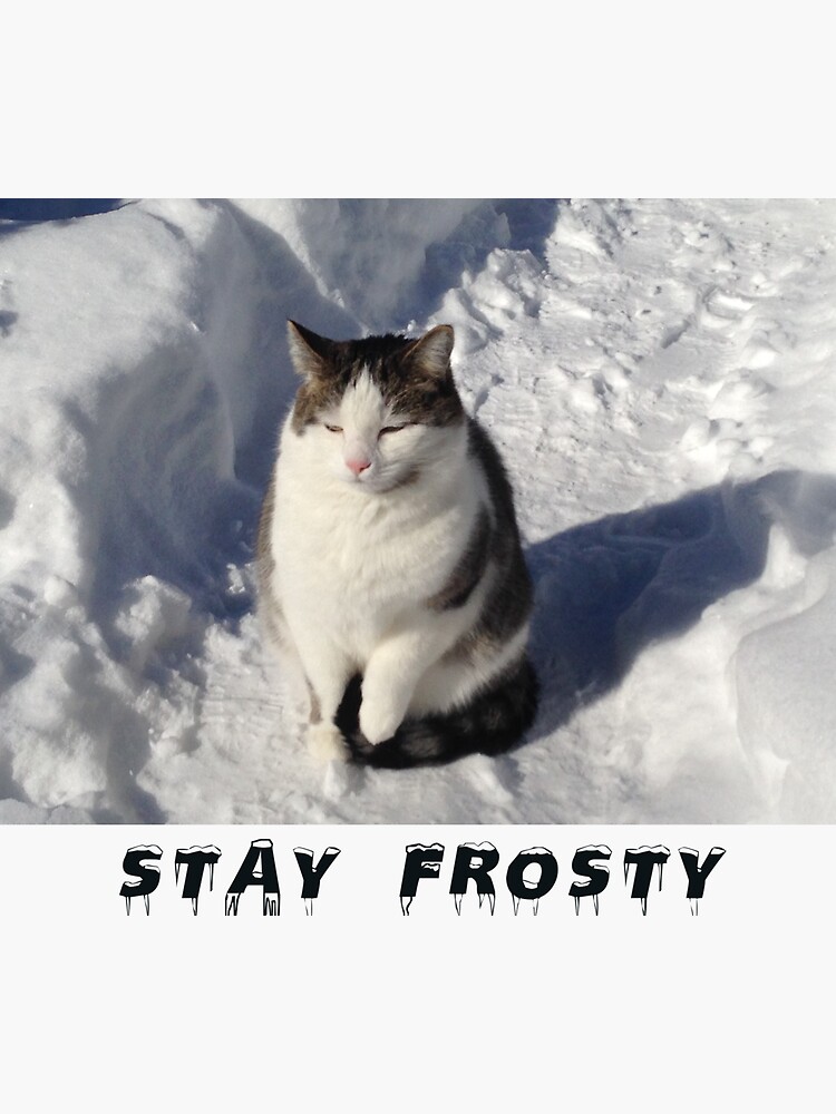 "Snow Kitty Stay Frosty" Sticker for Sale by jimbobsq | Redbubble