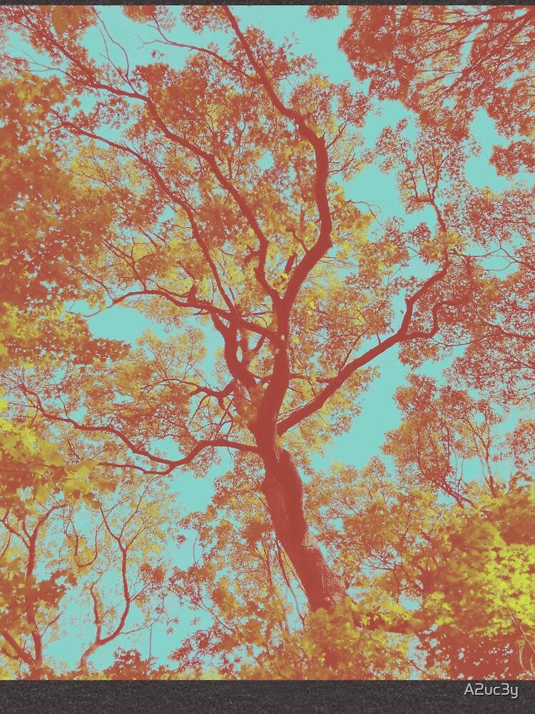 "SHROOM VISION" T-shirt by A2uc3y | Redbubble | mushroom t-shirts ...