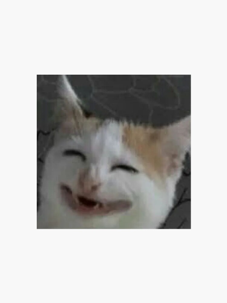 Laughing Cat Meme Sticker For Sale By Serujiplay Redbubble