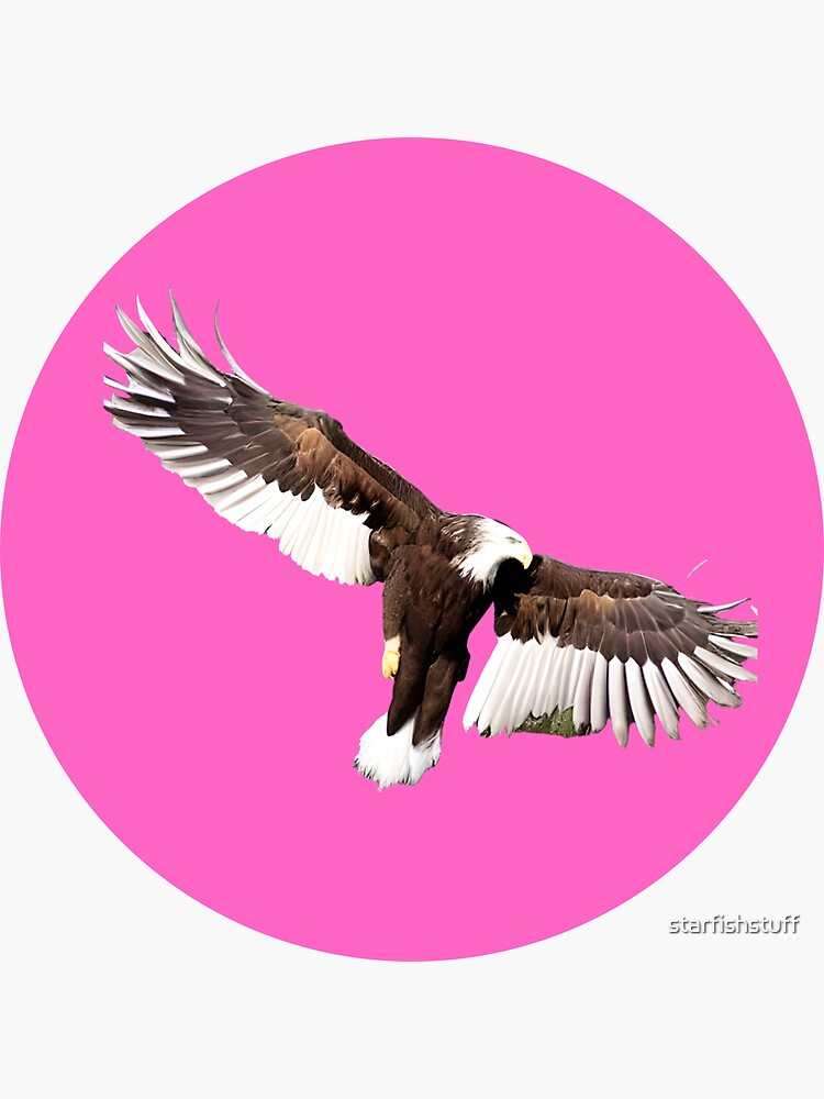 " WEDGETAIL EAGLE" Sticker for Sale by starfishstuff | Redbubble