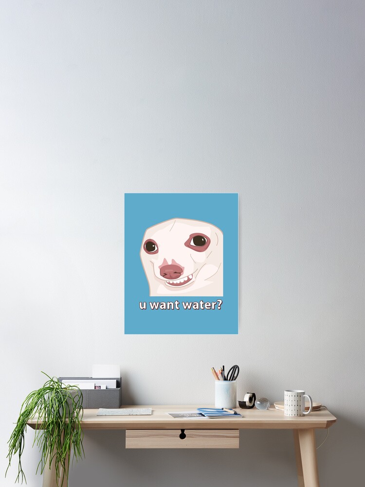 "U want water? Chihuahua Dog meme" Poster for Sale by Rzera- | Redbubble