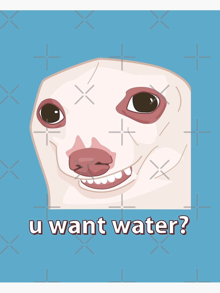 "U want water? Chihuahua Dog meme" Poster for Sale by Rzera- | Redbubble