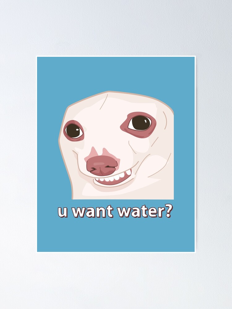 "U want water? Chihuahua Dog meme" Poster for Sale by Rzera- | Redbubble