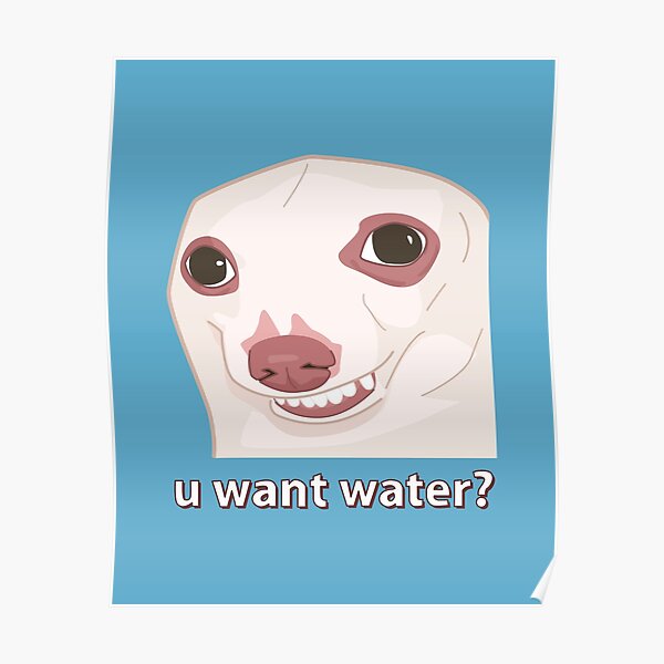 "U want water? Chihuahua Dog meme" Poster for Sale by Rzera- | Redbubble