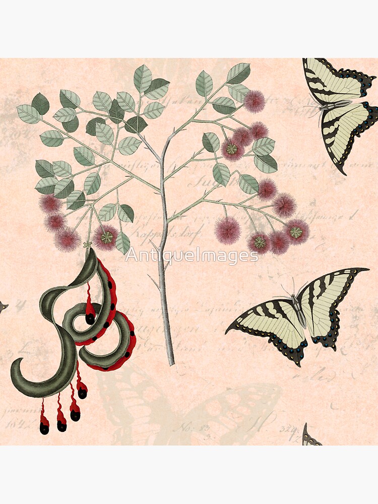 "Butterfly Botanical Antique Pink" Sticker for Sale by AntiqueImages ...