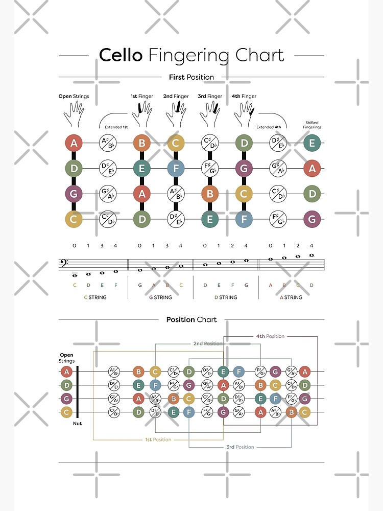 "Tabelle der Cello-Fingerpositionen" Poster von pennyandhorse | Redbubble