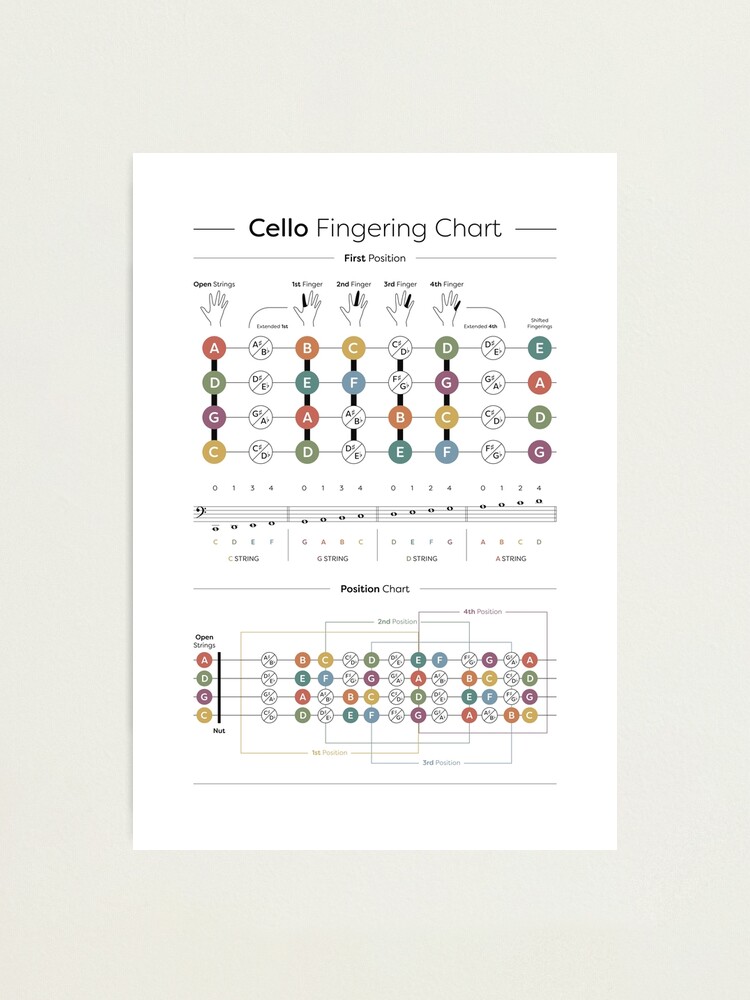 "Cello Finger Position Chart" Photographic Print for Sale by ...