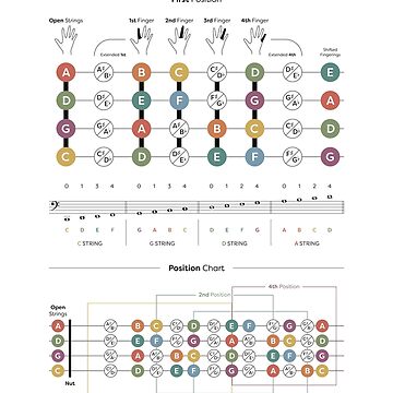 "Cello Finger Position Chart" Photographic Print for Sale by ...