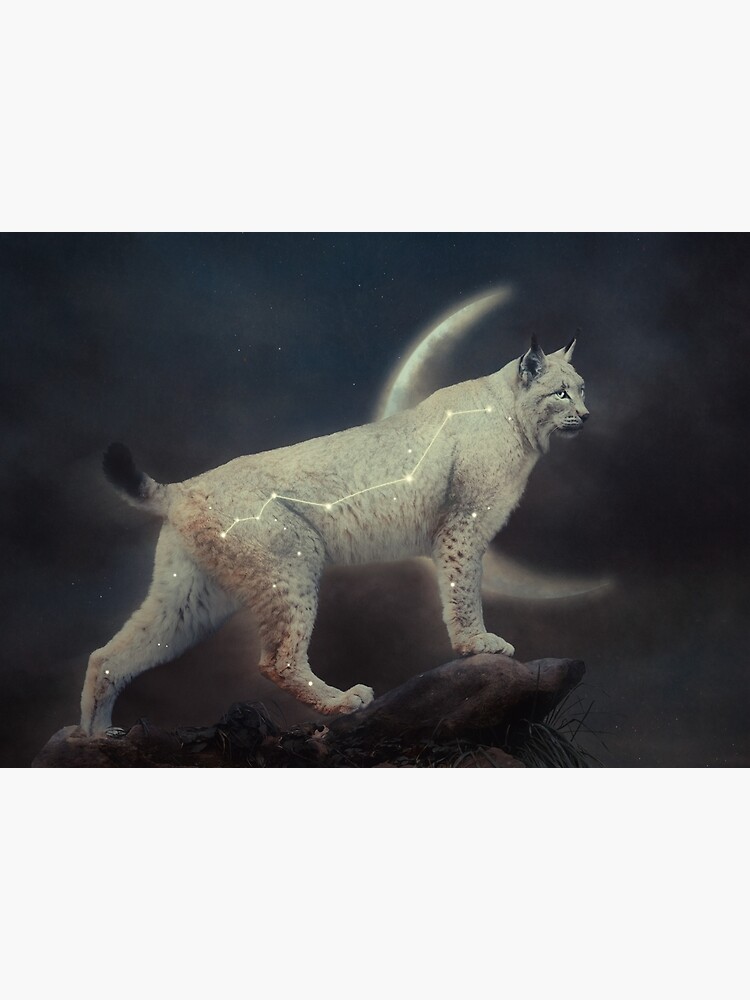 "'Celestial Lynx' - Eurasian Lynx with Constellation, Stars and Moon ...