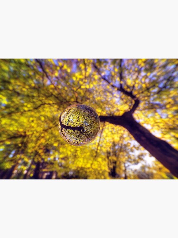 "Woodland Orb 2" Sticker for Sale by AntonyMitchell | Redbubble